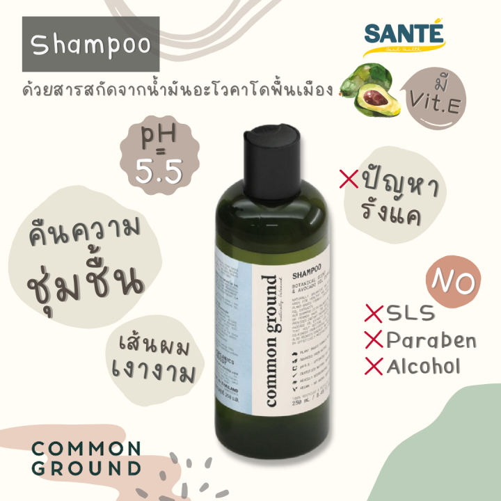 Common Ground Shampoo แชมพู น้ำมันอะโวคาโด ออแกนิก คอมมอน กราวด์ ขนาด ...