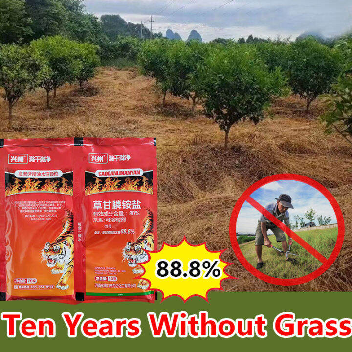 【remove grass in 7 days】Glyphosate herbicide Grass killer chemical 100G ...