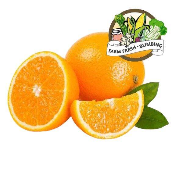 Jeruk Valencia 400-500gr | Lazada Indonesia
