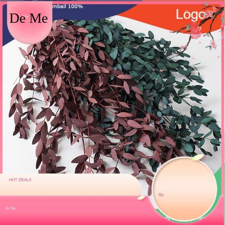 Parvi Dried Real Flower | Lazada PH