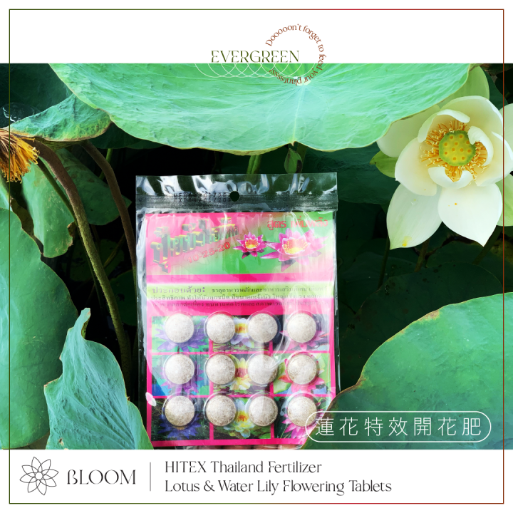 【Lotus Flowering Fertilizer】荷花专用开花肥料 Baja Khas Bunga Teratai (12 ...
