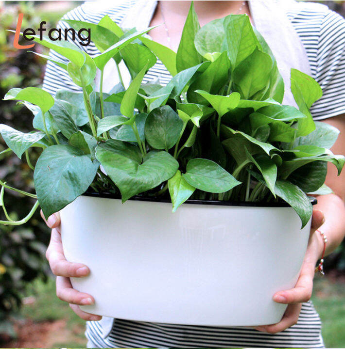 Lefang Self Watering Planter Flower Pots Multicolor Balcony Garden ...
