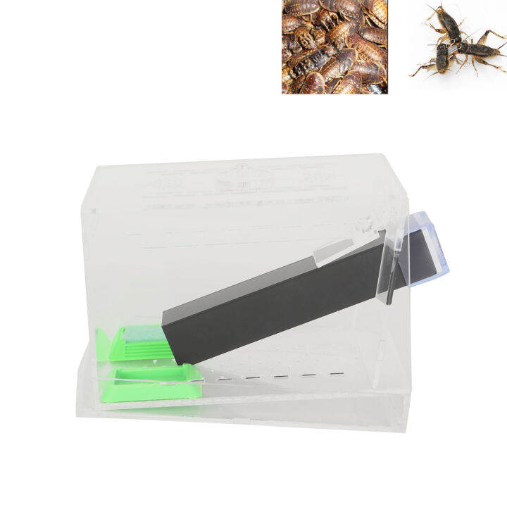 Cricket Keeper Tank Box Cricket Care Kit with Feces Layer for ...