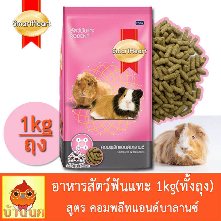 SmartHeart Rodent 1kg สมาร์ทฮาร์ท อาหารสัตว์ฟันแทะ สูตร คอมพลีทแอนด์บา ...