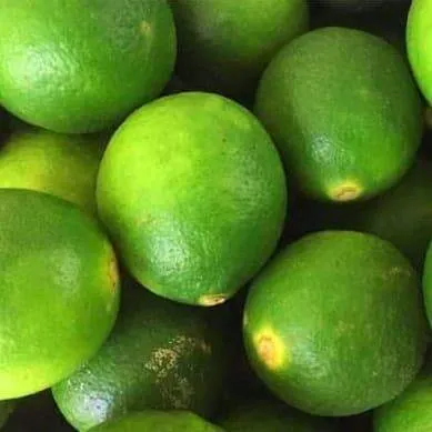 JERUK NIPIS FRESH 1 KG | Lazada Indonesia