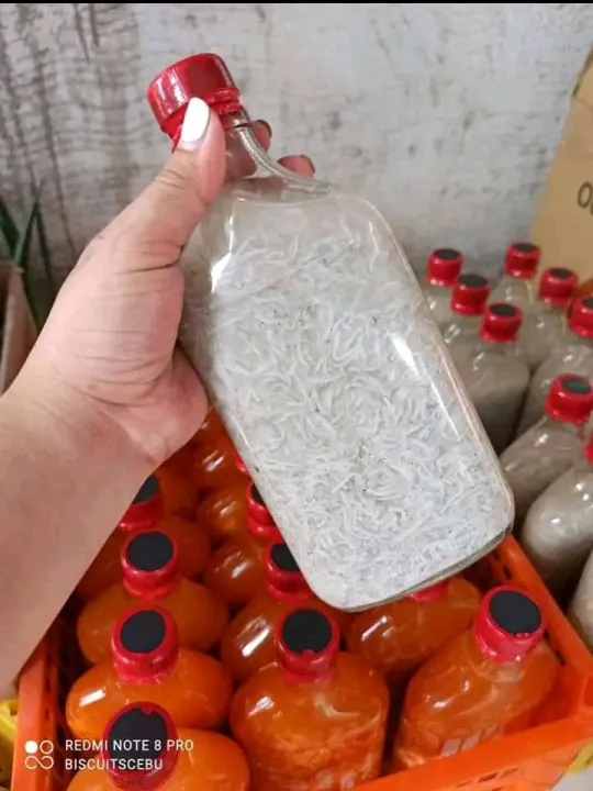 Regular TUGNOS or BAWDNON GINAMOS in 375ml and 230ml | Lazada PH