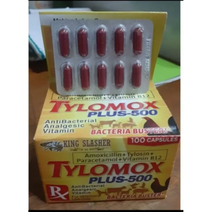 TYLOMOX PLUS-500 (sold by 10) | Lazada PH