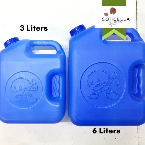Mini Plastic Blue Water Gallon 3L 6L/ Mini Water Gallon | Lazada PH