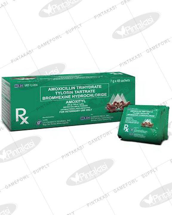 PINTAKASI 1 box of LDI Amoxityl 7g 48 sachet Antibacterial / Anti ...