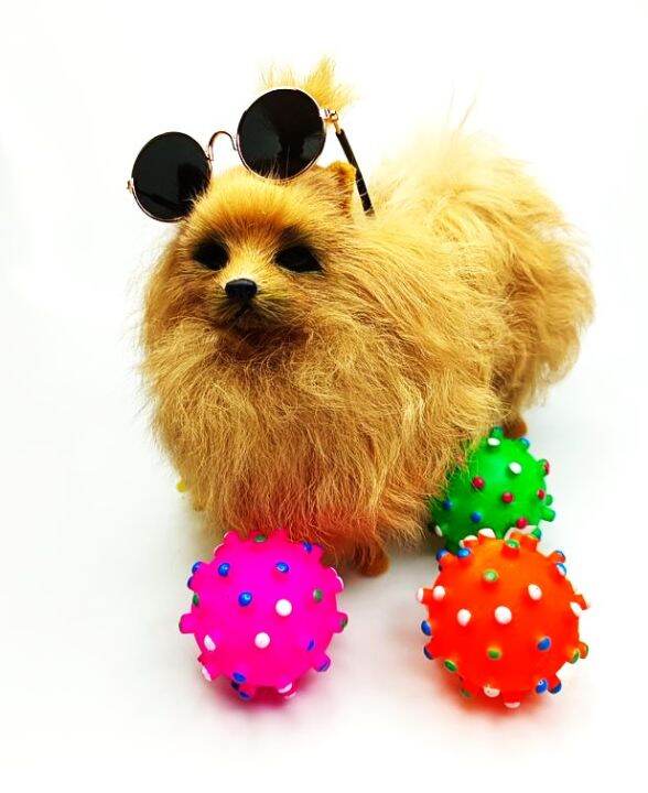 Ball Pet ของเล่นสัตว์เลี้ยง ลูกบอลยาง ลูกบอลเสริมพัฒนาการสัตว์เลี้ยง ...