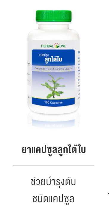 อ้วยอันโอสถ ลูกใต้ใบ 100 แคปซูล LOOK TAI BAI 100 CAPSULES (Phyllanthus ...