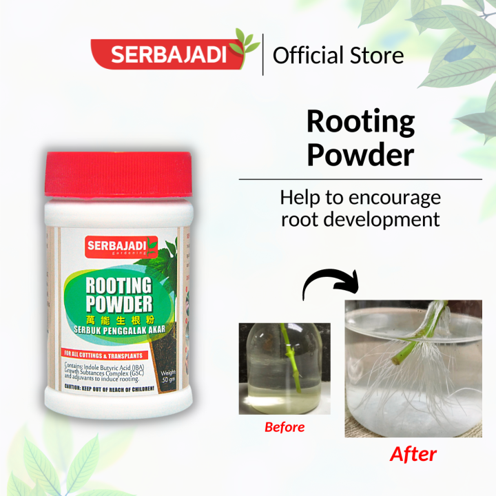 Serbajadi rooting powder IBA/encourage root growth powder/50g | Lazada PH