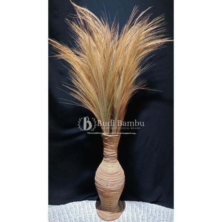 Bunga Rayung Kering Penebah Dekorasi Ruang Tamu 1 iket 8 - 10 Batang ...