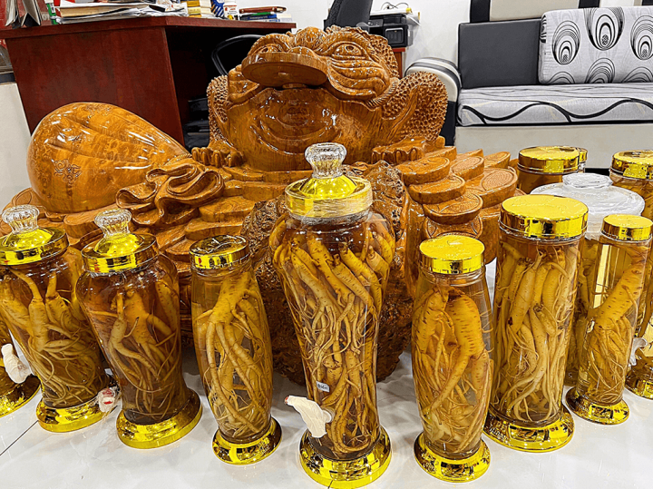 Rượu Hồng Đẳng Sâm Ngọc Linh (Sâm Dây) An Thịnh Phát 100% Nước 1 | Lazada.vn