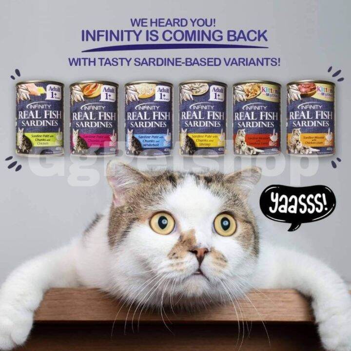 New Infinity Cat food Real Fish in Can 400g | Lazada PH