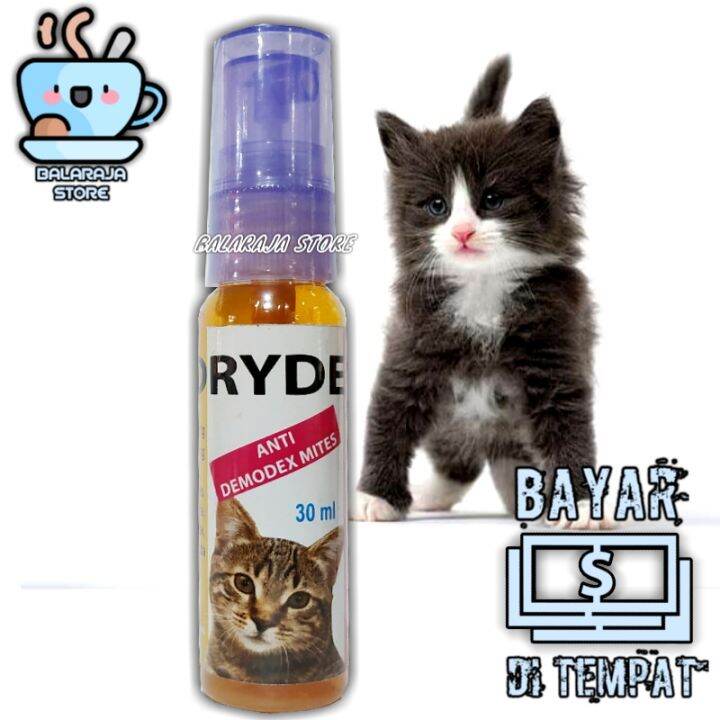 OBAT KUCING SAKIT JAMUR KORENG LUKA BULU RONTOK DEMODEX DRYDEX | Lazada ...