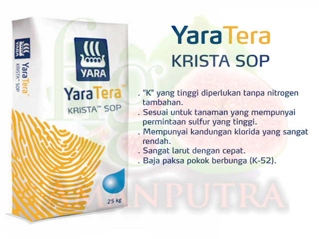 Repack Yara Tera Krista SOP K52 | Lazada