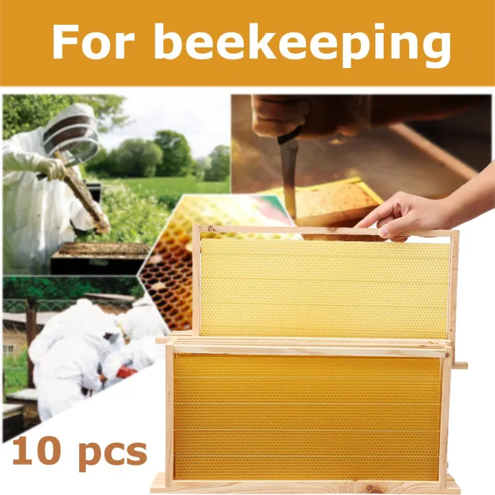 10 Pack Bees Wax Foundation & 10 Alliance Pine Beehive Frames ...
