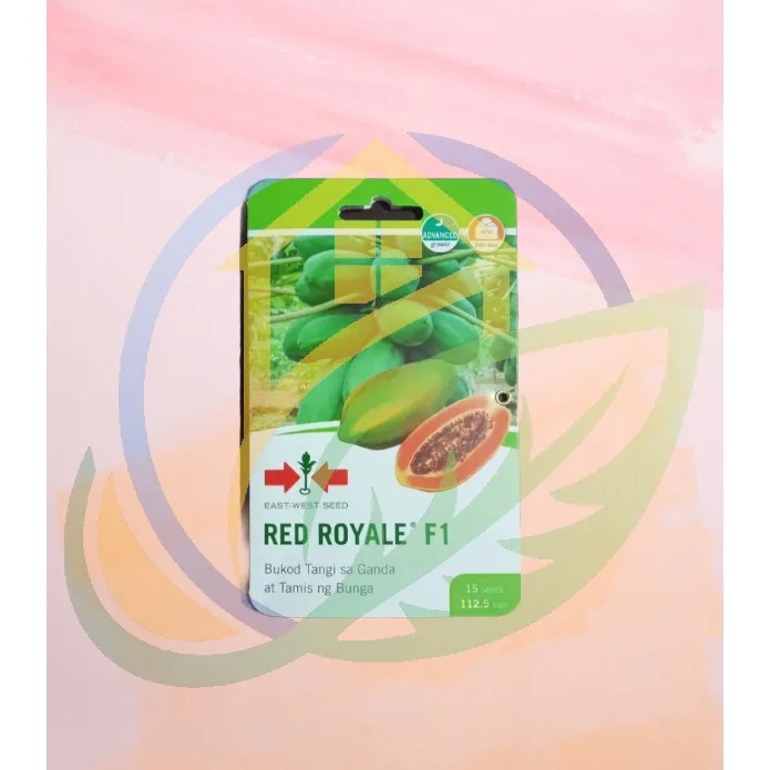 EAST-WEST SEEDS PACK RED ROYALE F1 HYBRID RED PAPAYA 15SEEDS | Lazada PH