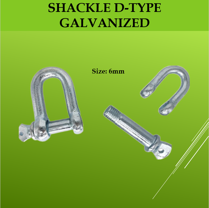 6mm Shackle D type Shackle European Type Galvanized Alloy steel D ...
