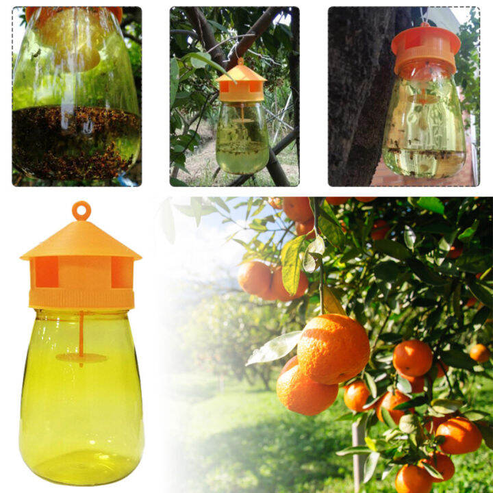 New Fly Fruit Trap, Fruit Fly Catcher with One Natural Non-Toxic Fruit ...