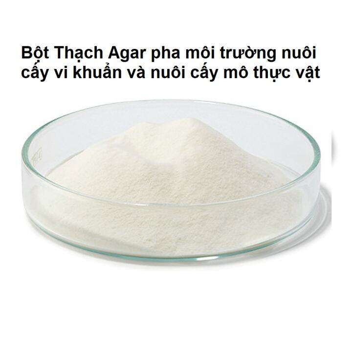 Bột Thạch Agar pha môi trường nuôi cấy vi khuẩn và nuôi cấy mô thực vật ...