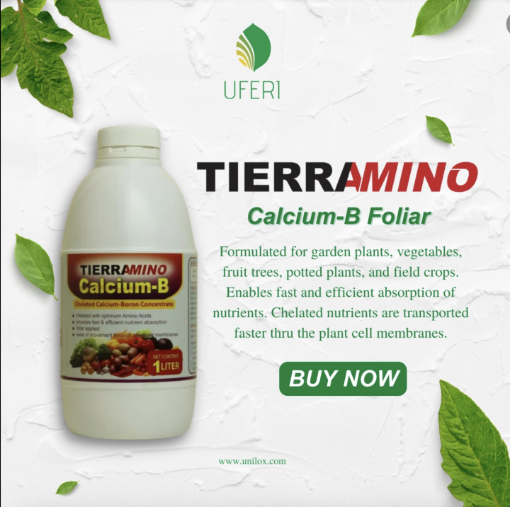 TierrAmino Calcium-Boron Chelate Liquid Fertilizer | Lazada PH