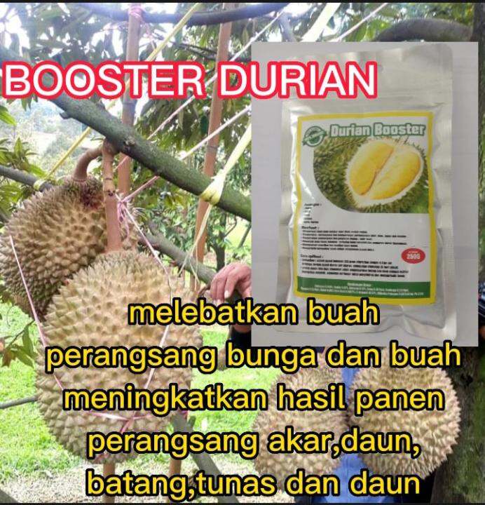 Pupuk Organik Pelebat Buah Dan Booster Durian Cepat Berbuah Lebat Pupuk Booster Organik Pelebat ...