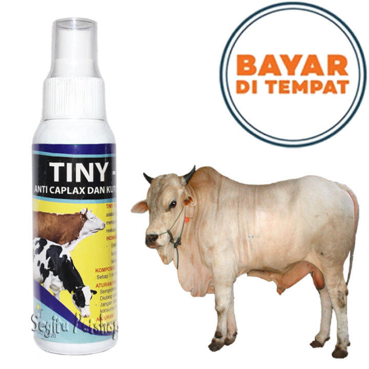 Obat Basmi Kutu Sapi Kerbau Kuda TINY Anti Parasit Tungau | Lazada ...