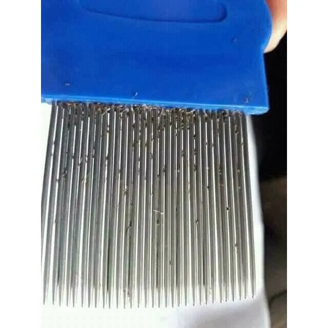 ♥️ ️ Magic Suyod Kuto Lisa Dandruff Remover Lice Egg metal hair comb ...