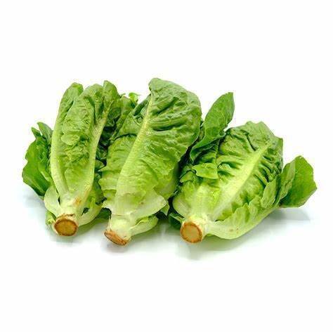 Romaine Lettuce / Sayur Mak (500g) | Lazada