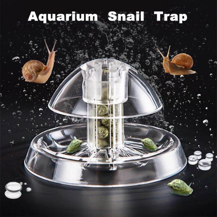 Plastic Aquarium Snail Cleaner Trap Water Plant Planarian Worm Catch ...