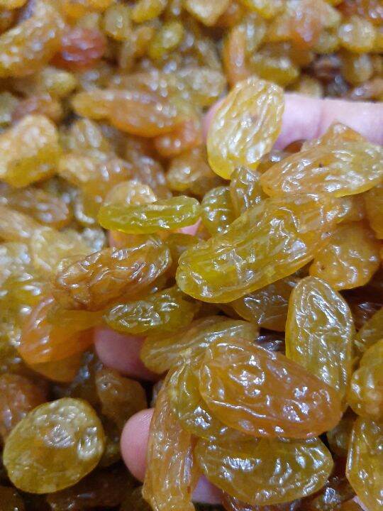 KISMIS GOLDEN JUMBO 200GM | Lazada