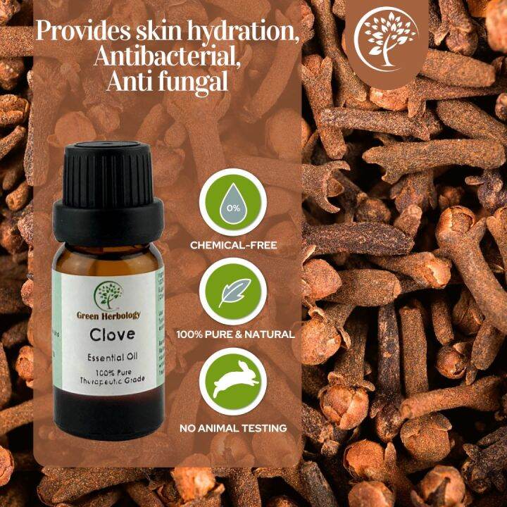 Pure Clove Essential Oil 10ml | Lazada