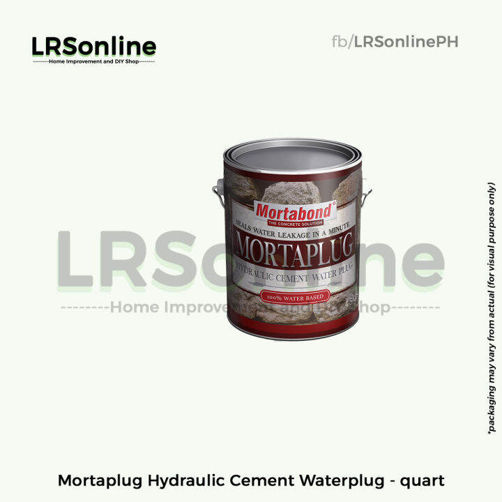 Mortaplug Hydraulic Cement (Waterplug) - 1kg | Lazada PH