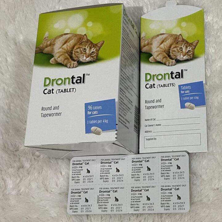 Drontal Cat Obat Cacing Kucing 1 Tablet | Lazada Indonesia
