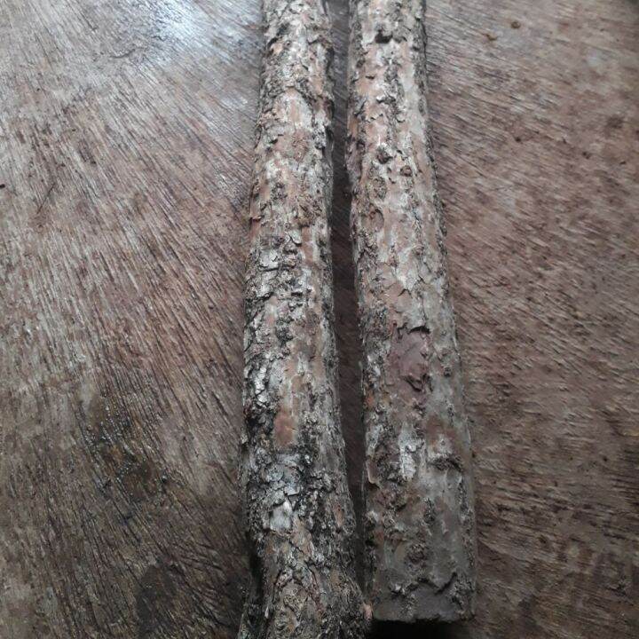 bahan kayu stigi panjang 60cm | Lazada Indonesia