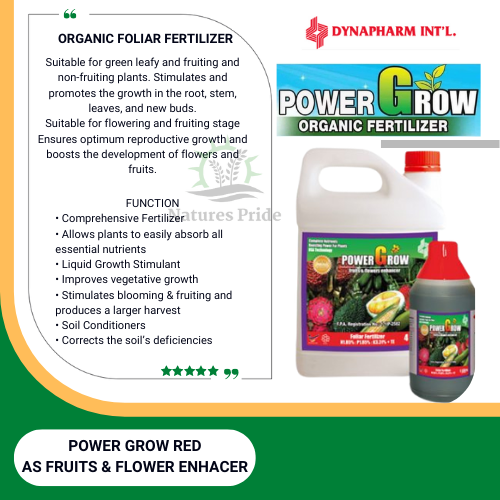 POWER GROW RED | Lazada PH