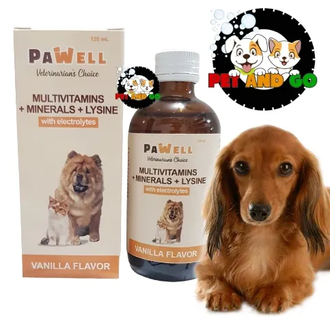 Pawell Multivitamins+Minerals+Lysine w/ Electrolytes120mL | Lazada PH