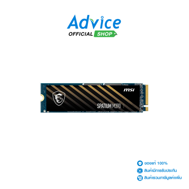 250 GB SSD M.2 PCIe MSI SPATIUM M390 NVMe | Lazada.co.th