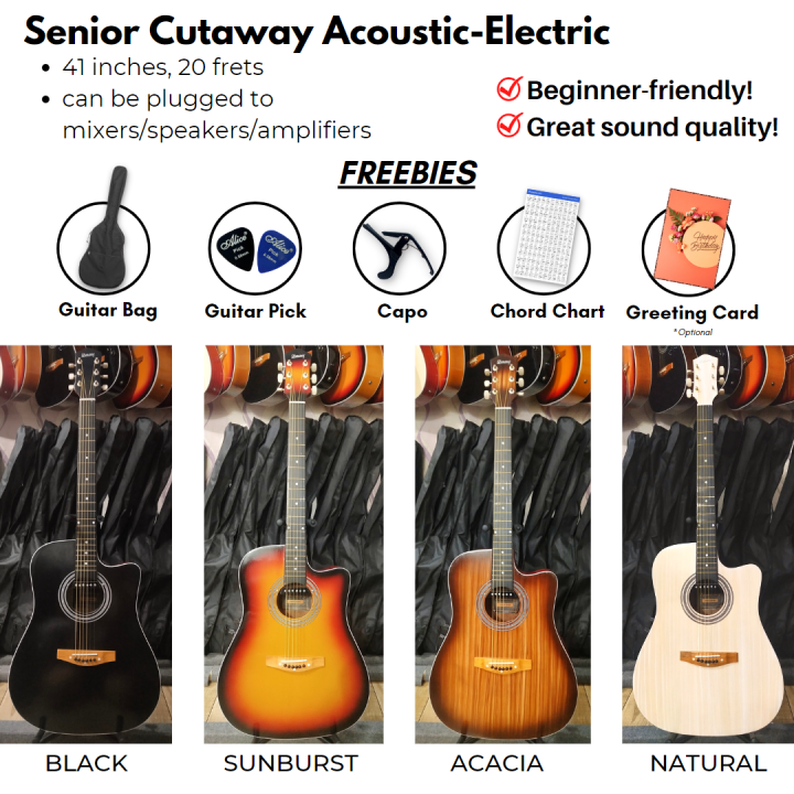 FREE SHIPPING Lumanog Senior Acoustic electric Guitar for Beginners ...
