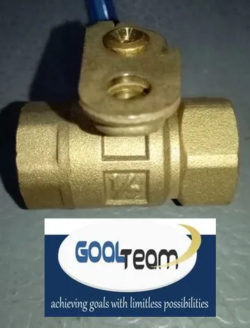 Ball Valve with Lock Wing 1/2in (15mm) Brass | Lazada PH