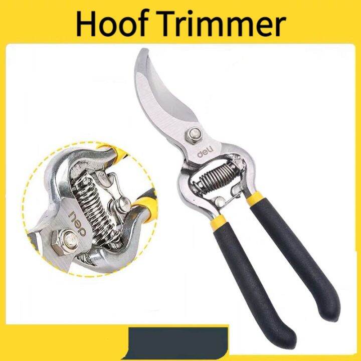 Hoof Trimmer for Goats. Use for cutting excess hoof of goats | Lazada PH