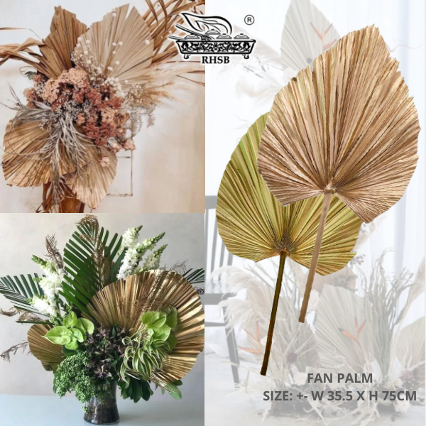 DAUN KIPAS KERING / PALM LEAF / DAUN PALMA / DAUN PALM/ DAUN PELAMIN ...