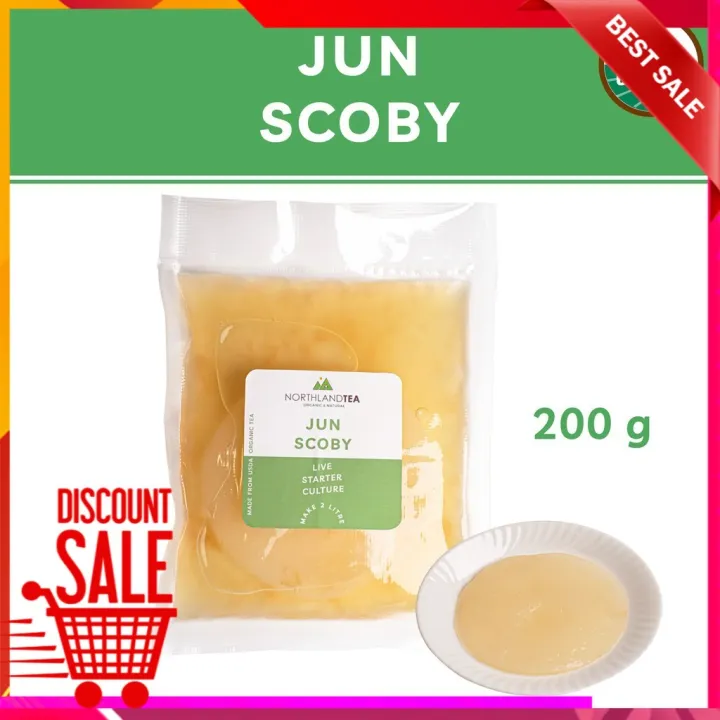 🌰🌰 Northlandtea - Organic Jun SCOBY & Culture Starter 200 ml - สโคบี้ ...