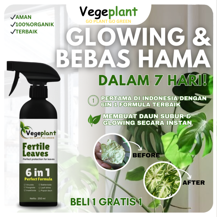 Vegeplant Fertile Leaves- fungisida hilangkan jamur pada tanaman hias ...
