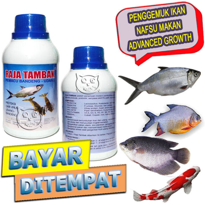 Raja Tambak Vitamin Pertumbuhan Ikan Udang Obat Penggemuk Nafsu makan | Lazada Indonesia