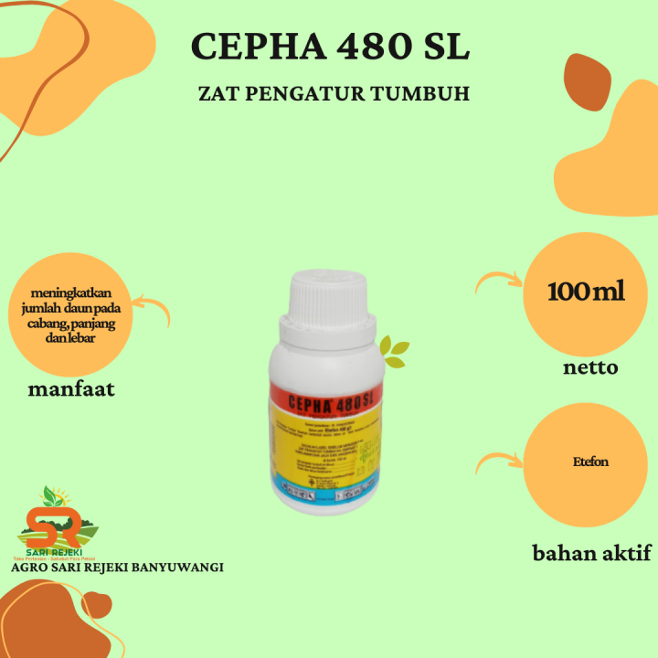 CEPHA 480 SL 100ML SEPERTI PEMATANG/PEMASAK BUAH | Lazada Indonesia