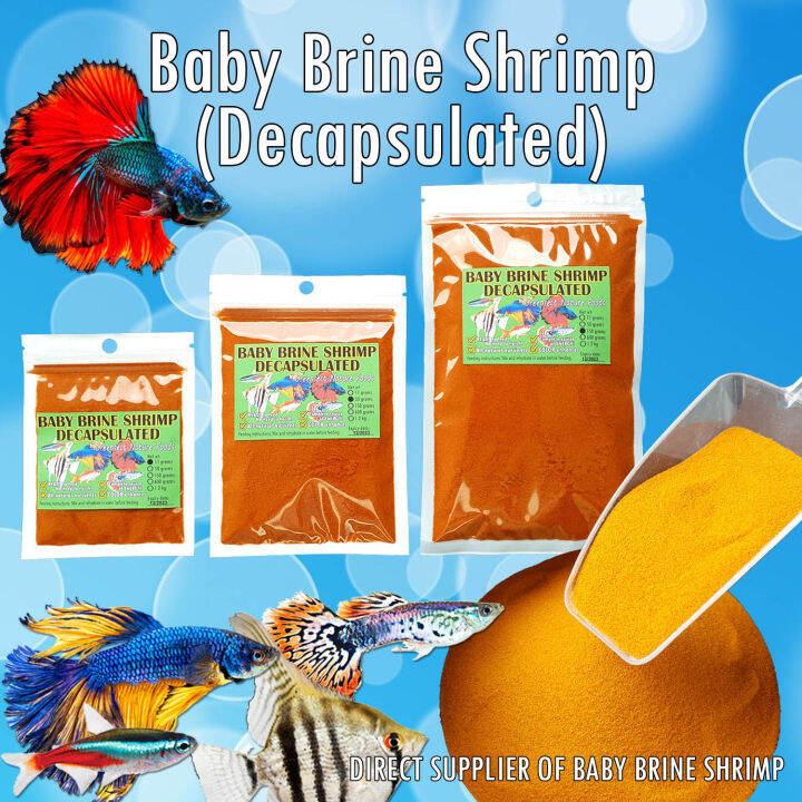 BABY BRINE SHRIMP (DIRECT SUPPLIER) Decapsulated 25g to 150g fish food ...