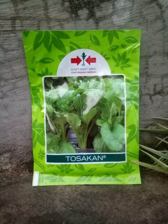 Benih Caisim Tosakan 25 gram | Lazada Indonesia